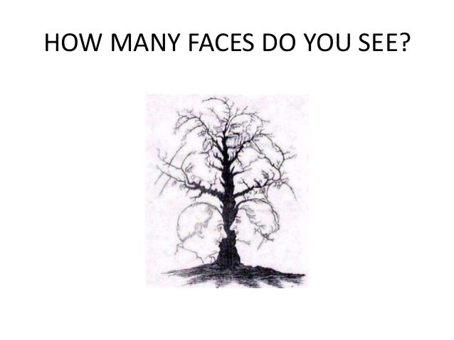 What do you see