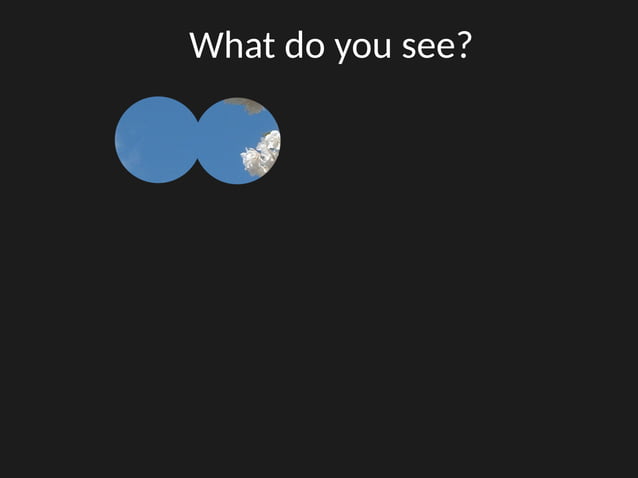 Powerpoint What do you see animals .ppt.ppsx