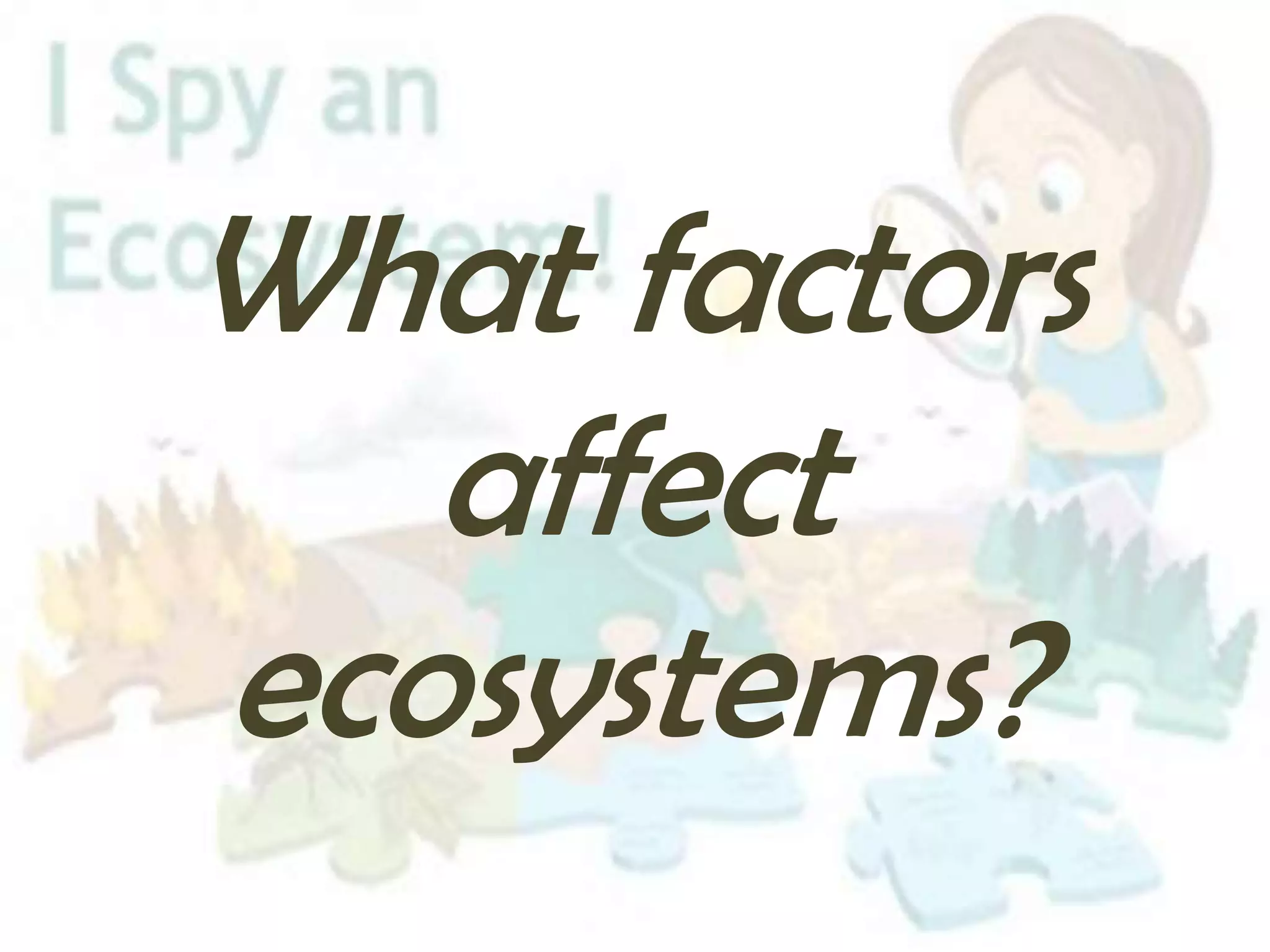 What factors influence ecosystems | PPT