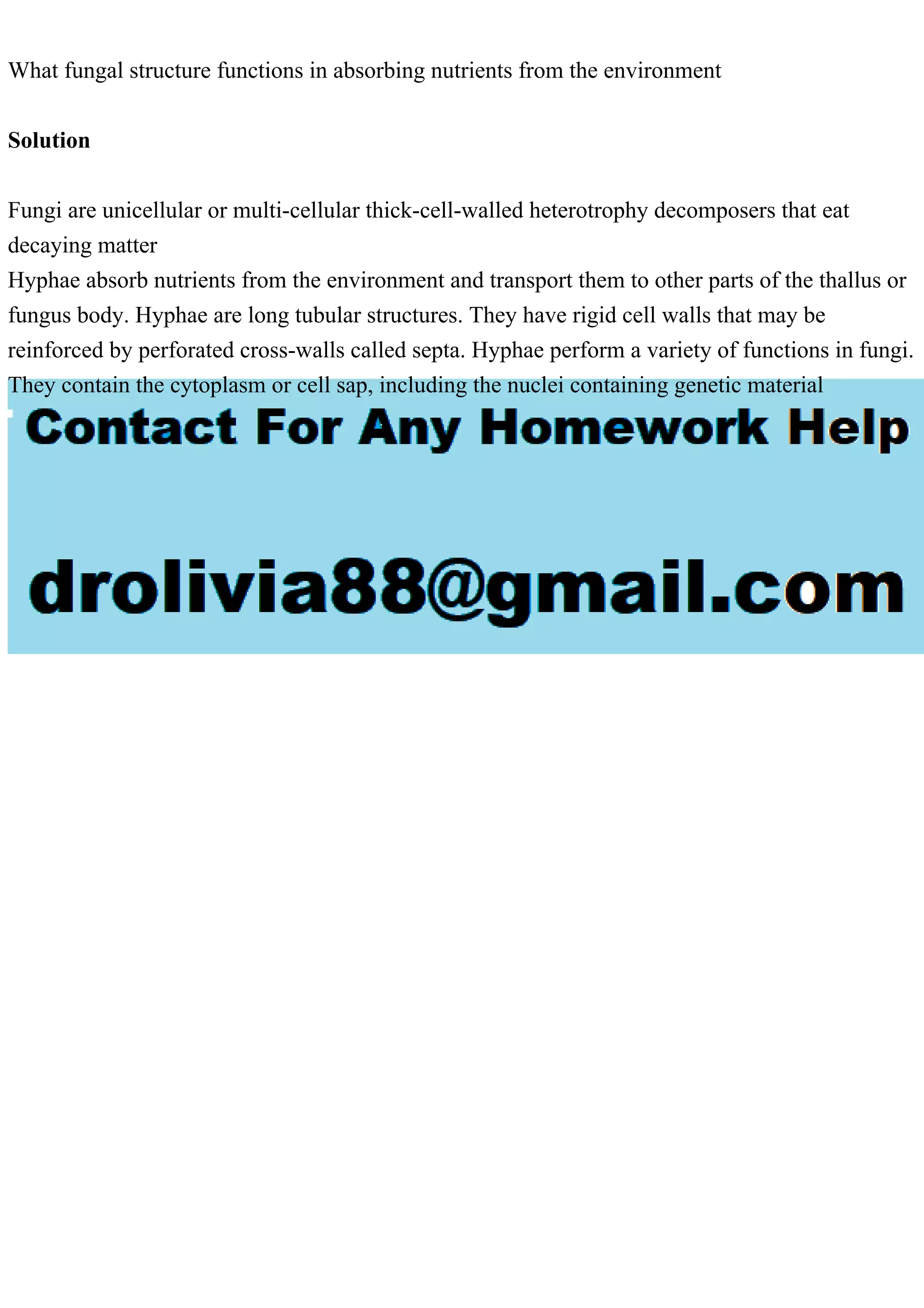 What fungal structure functions in absorbing nutrients from the envi.pdf