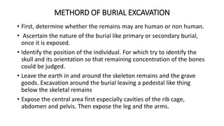 Archaeological excavation of the human burials | PPTX