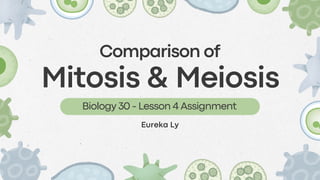 The Comparison Between Mitosis and Meiosis | PDF