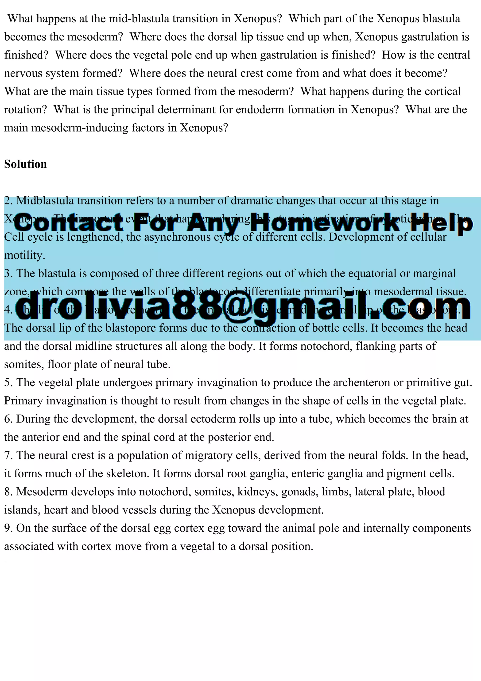 What happens at the mid-blastula transition in Xenopus Which part o.pdf