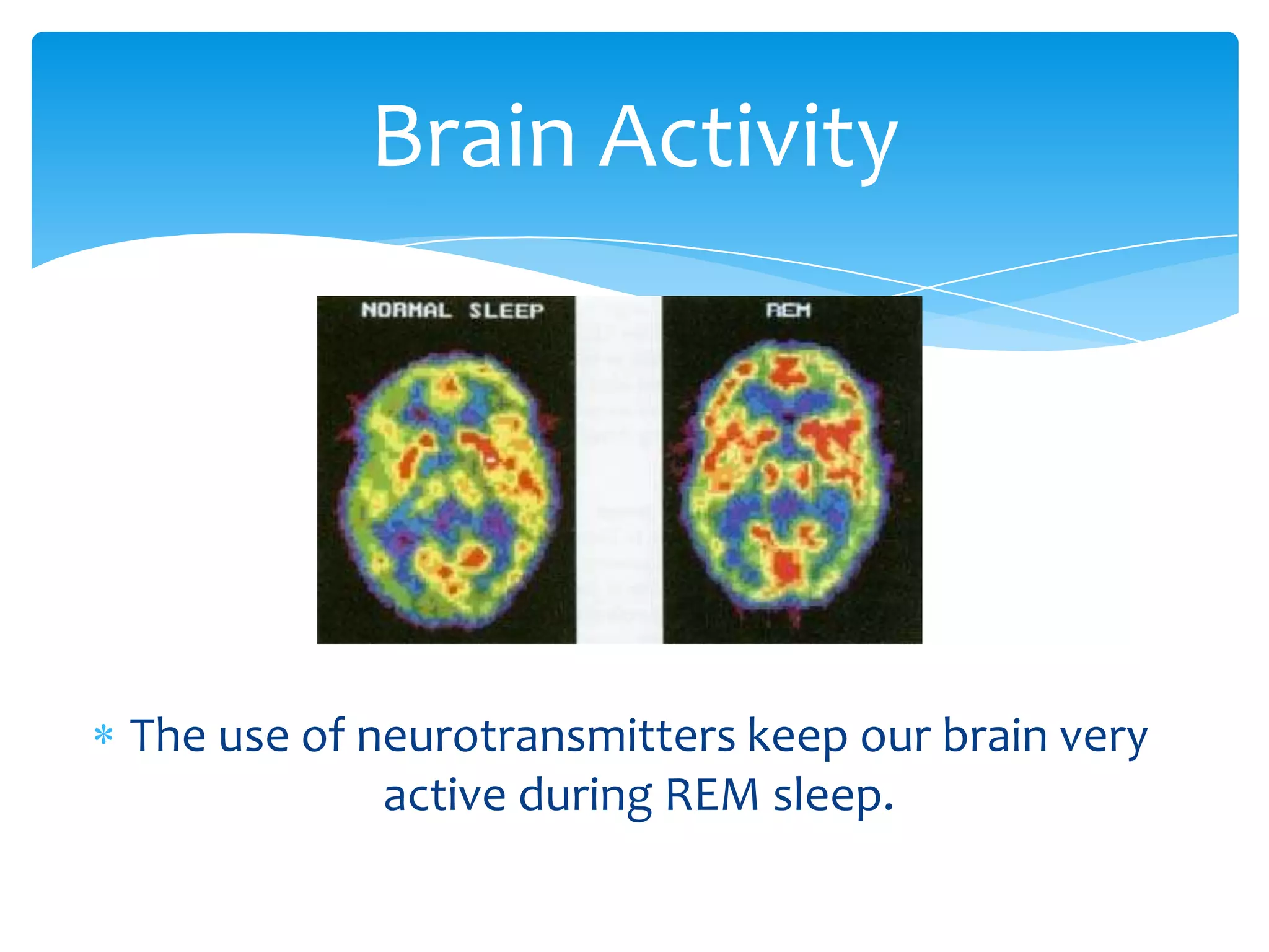 What happens during rem sleep powerpoint | PPTX
