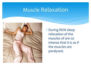What happens during rem sleep powerpoint | PPTX