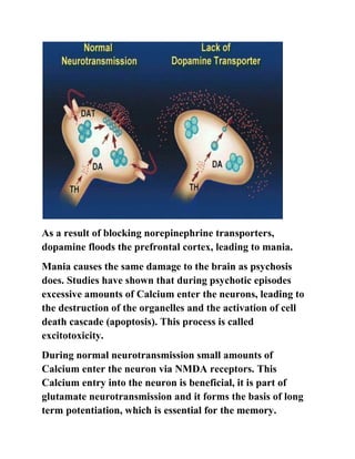 What happens in mania stays in mania | PDF
