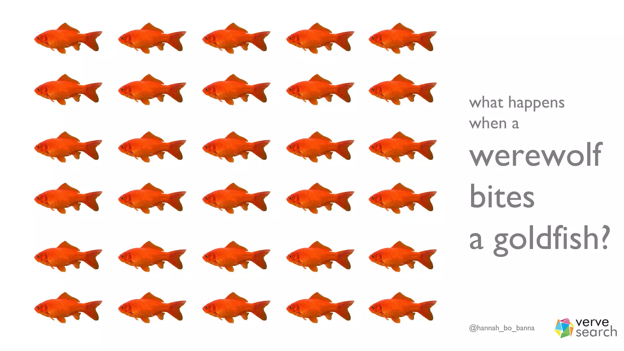 What Happens when a Werewolf Bites a Goldfish - SearchLeeds - April ...