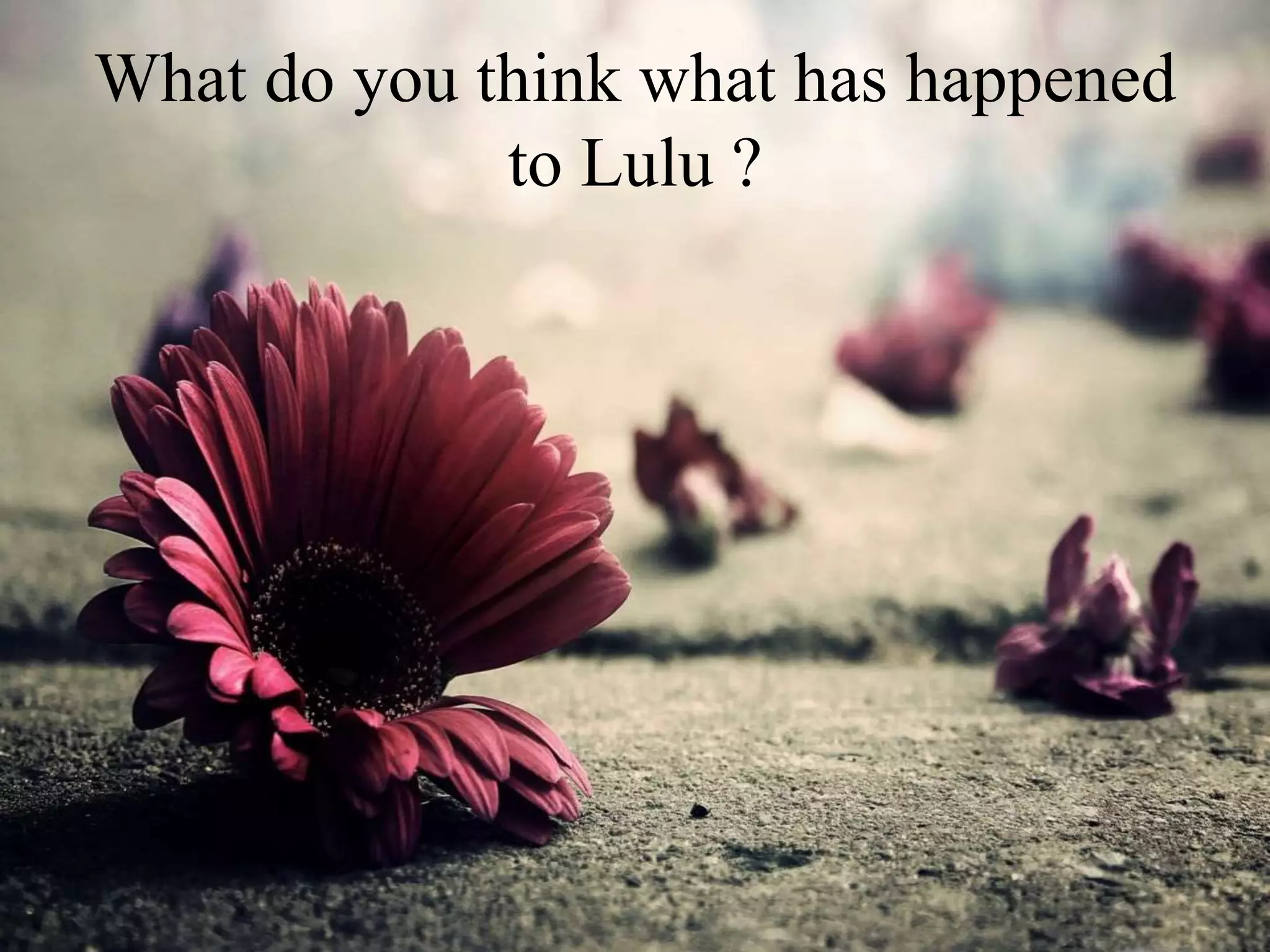 What has happened to lulu analysis | PPTX