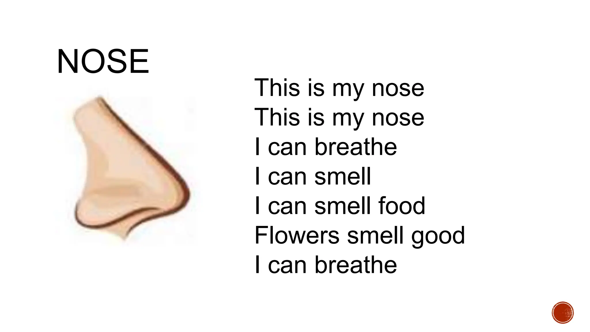What helps you smell things sense of smelling.pptx