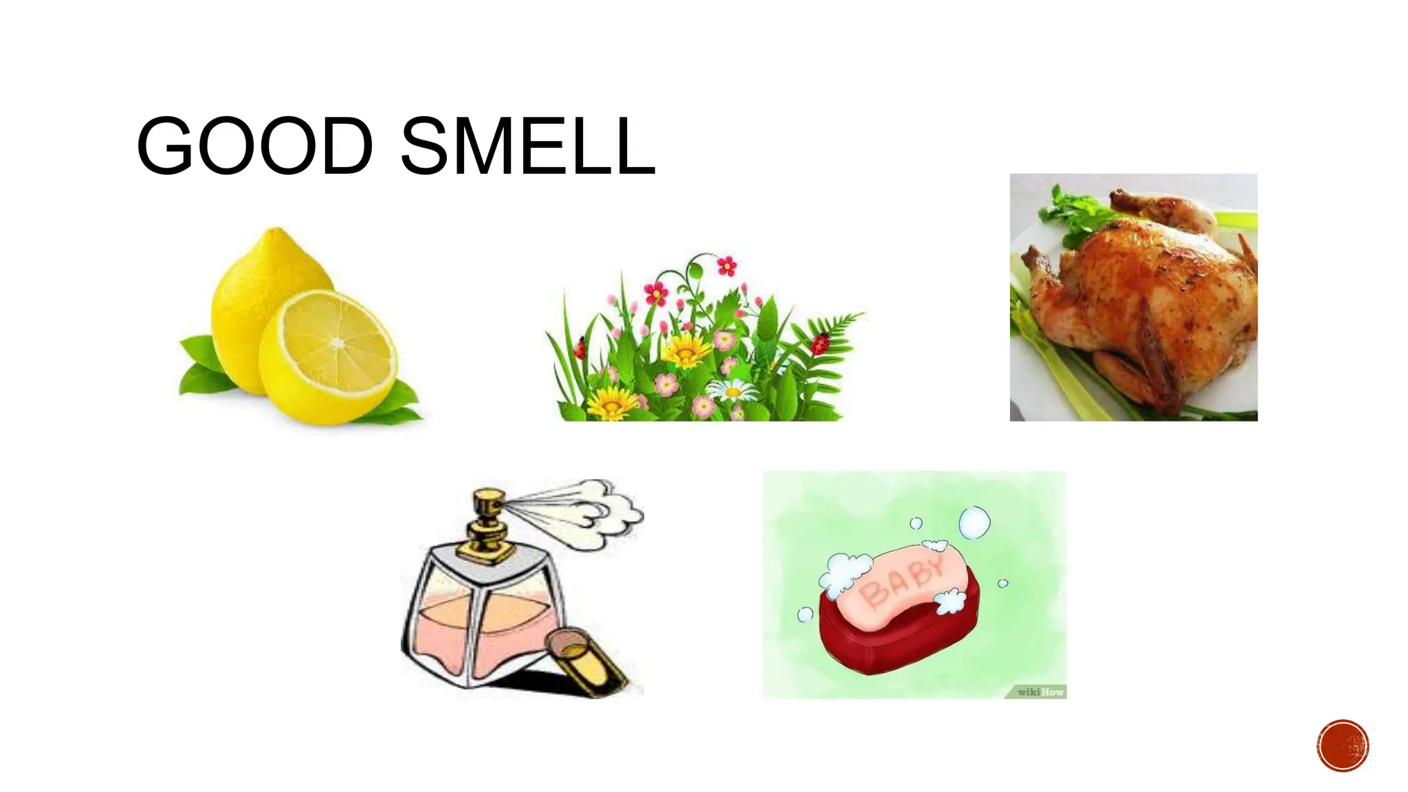What helps you smell things sense of smelling.pptx