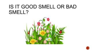 What helps you smell things sense of smelling.pptx