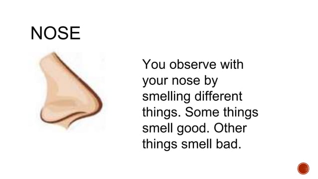 What helps you smell things sense of smelling.pptx