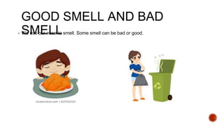 What helps you smell things sense of smelling.pptx