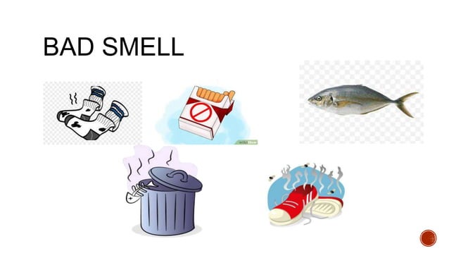What helps you smell things sense of smelling.pptx