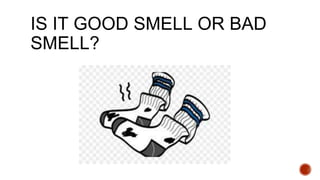 What helps you smell things sense of smelling.pptx