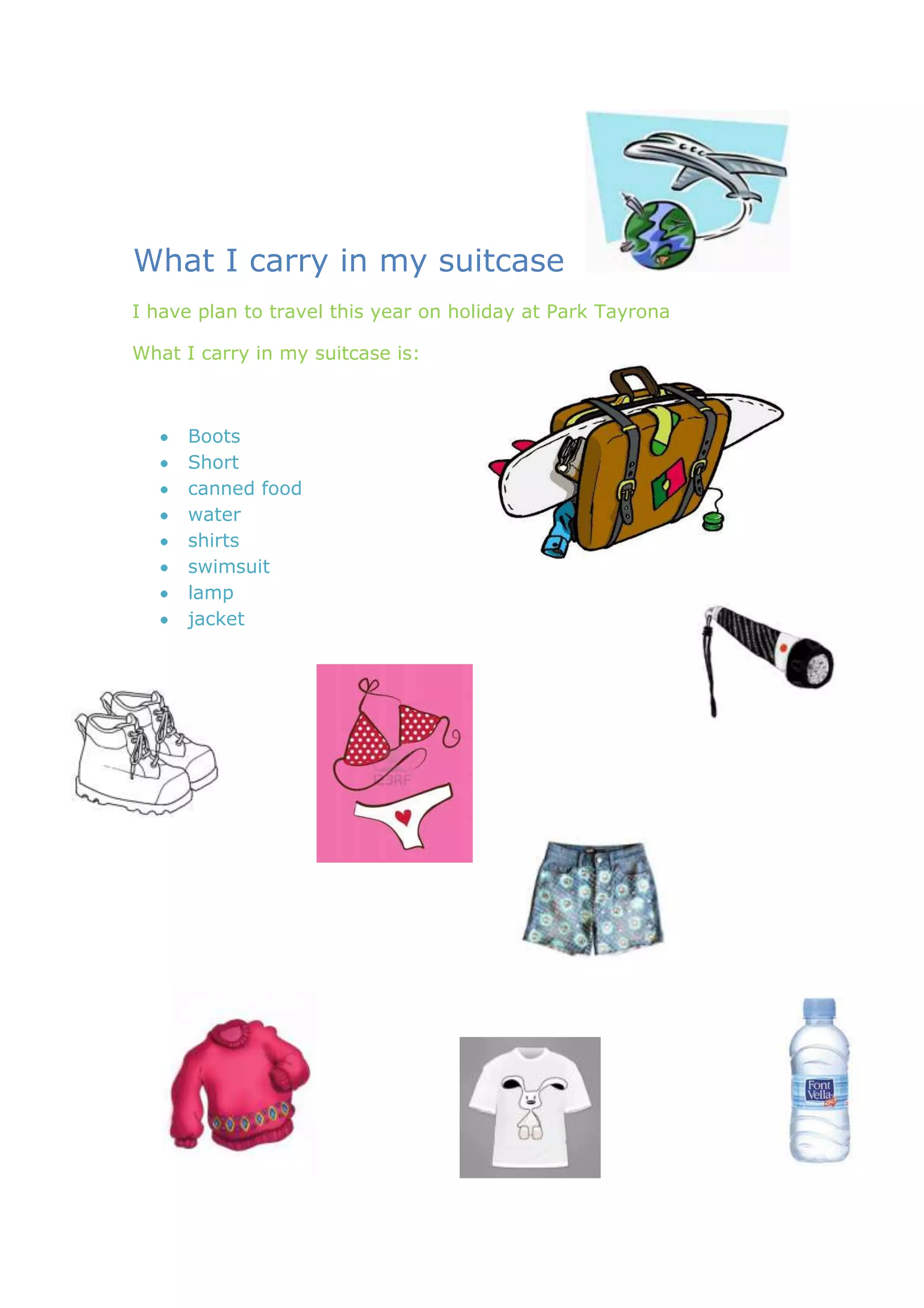 What i carry in my suitcase | DOCX