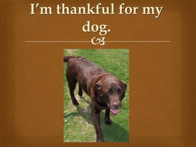 What i’m thankful for | PPT