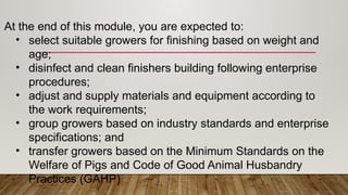 What What I Need To Know about Finisher Pigs | PPTX