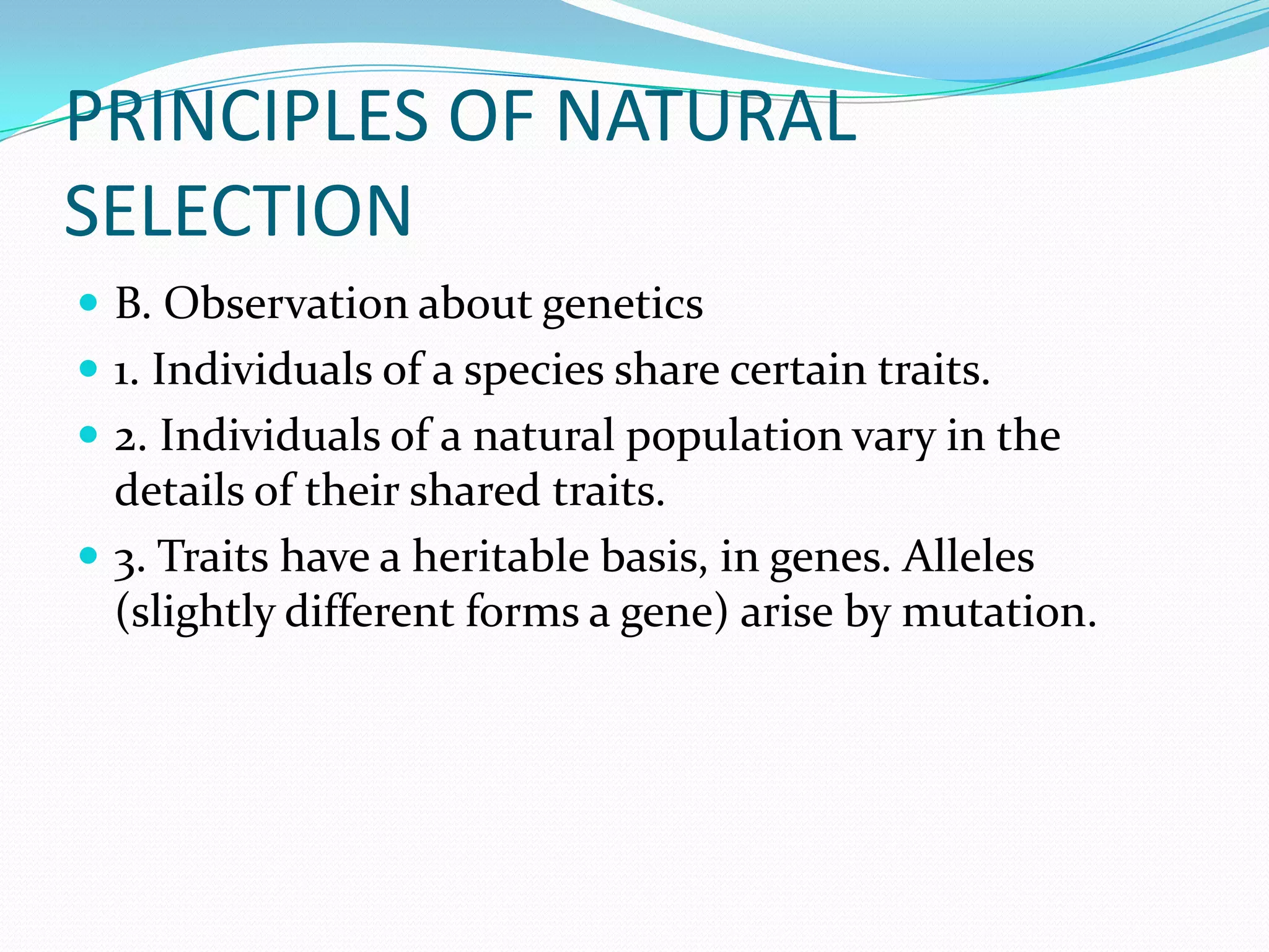 What influences natural selection | PPTX
