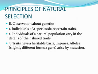 What influences natural selection | PPT