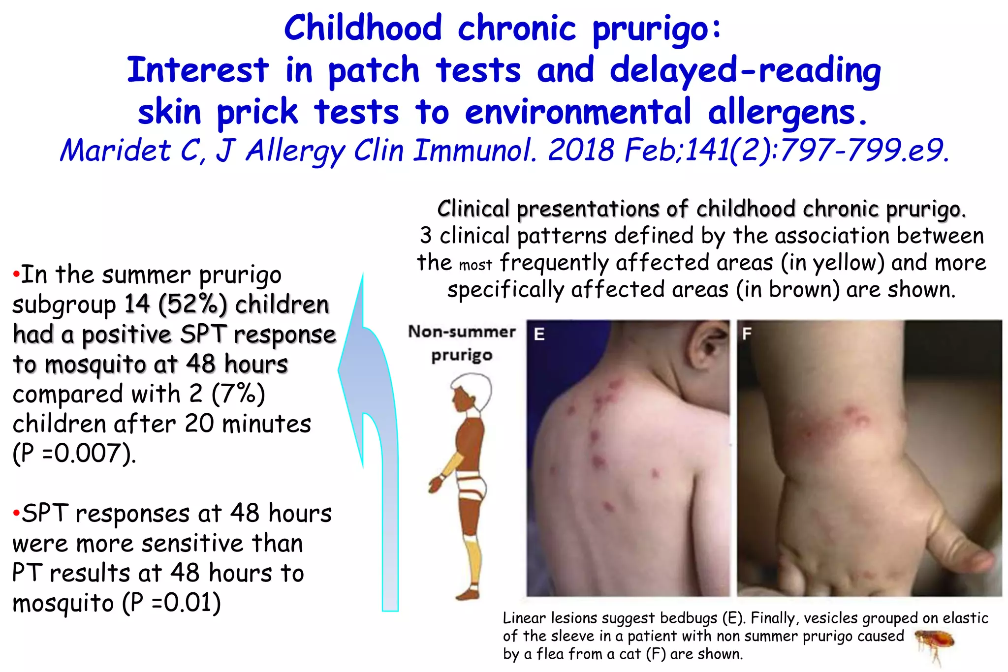 What insect allergy | PPTX