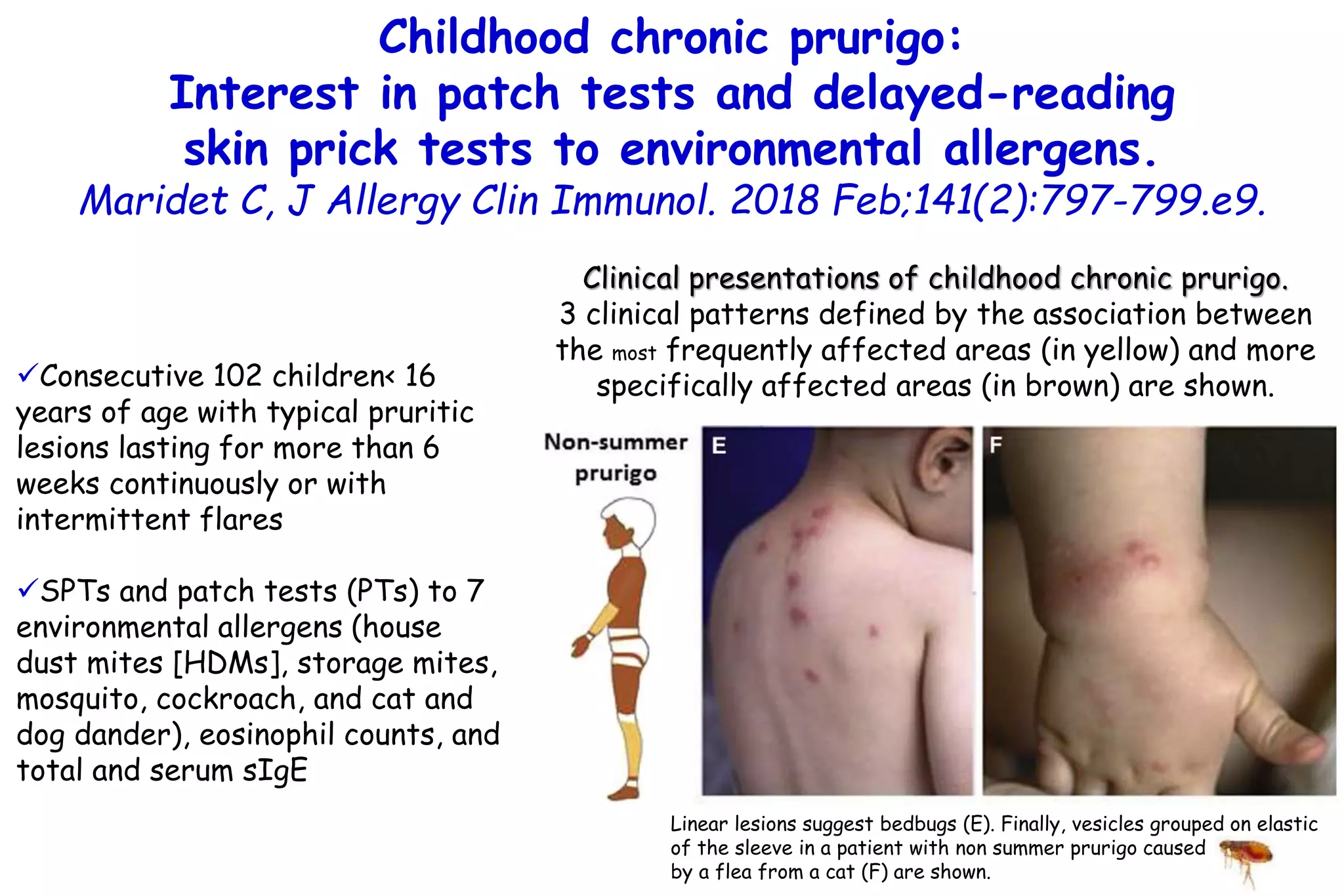What insect allergy | PPTX
