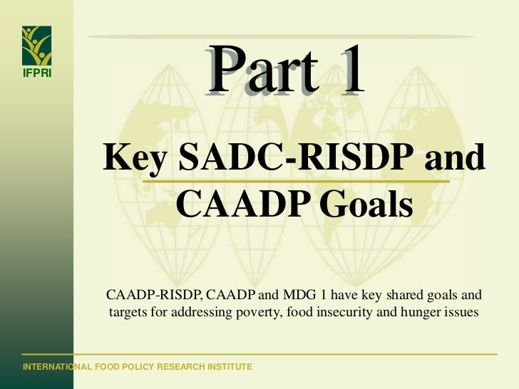 What investments are needed to reach the SADC-RISDP and CAADP goals i…