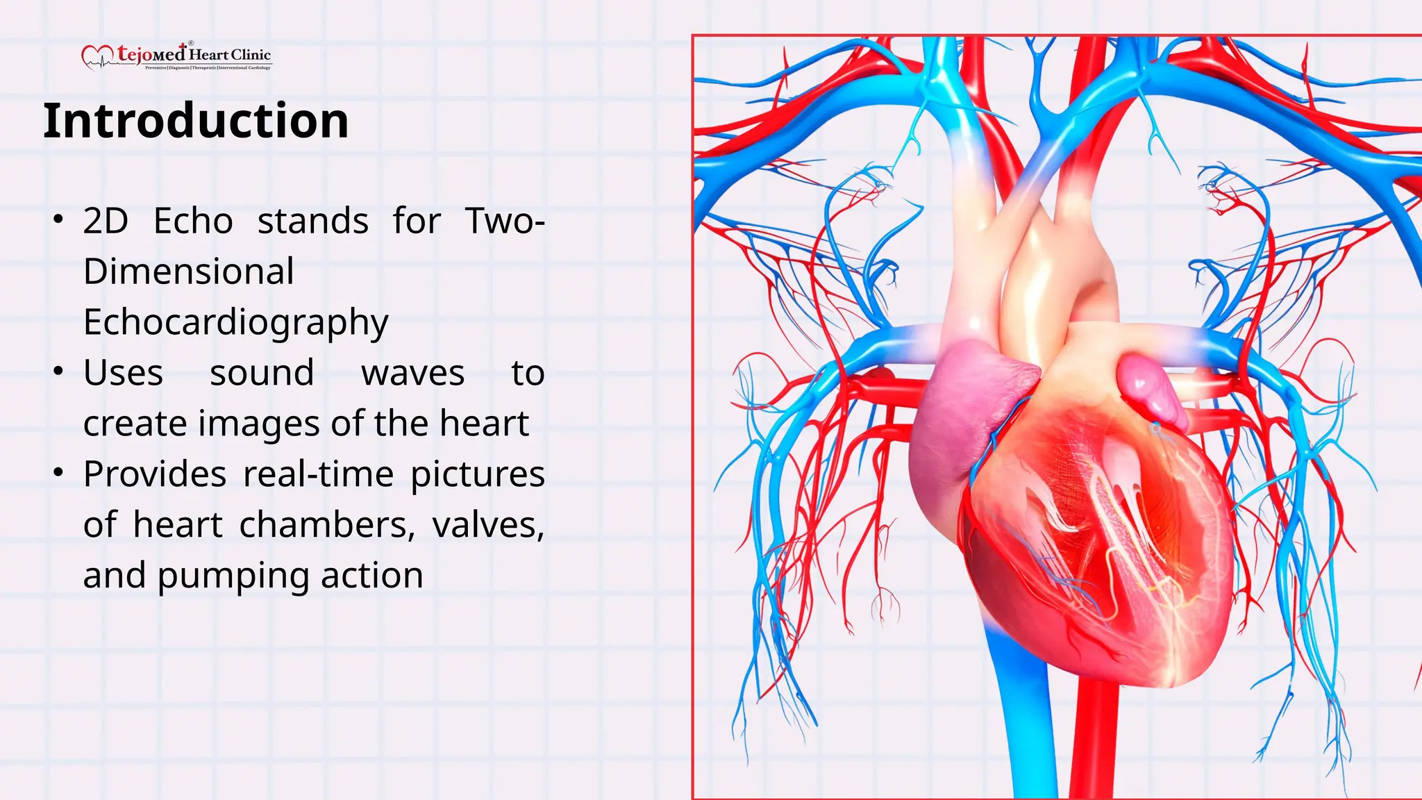 2D Echo Test Explained: Purpose, Procedure & Benefits | PPTX