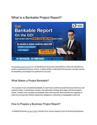 What is a Bankable Project Report - IID_ | PDF