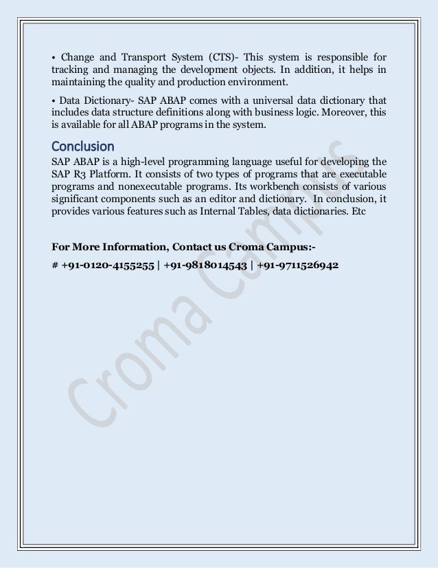 What is abap type & features | PDF