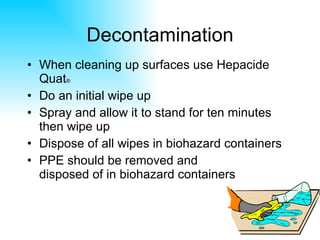 What is a bb pathogen | PPT