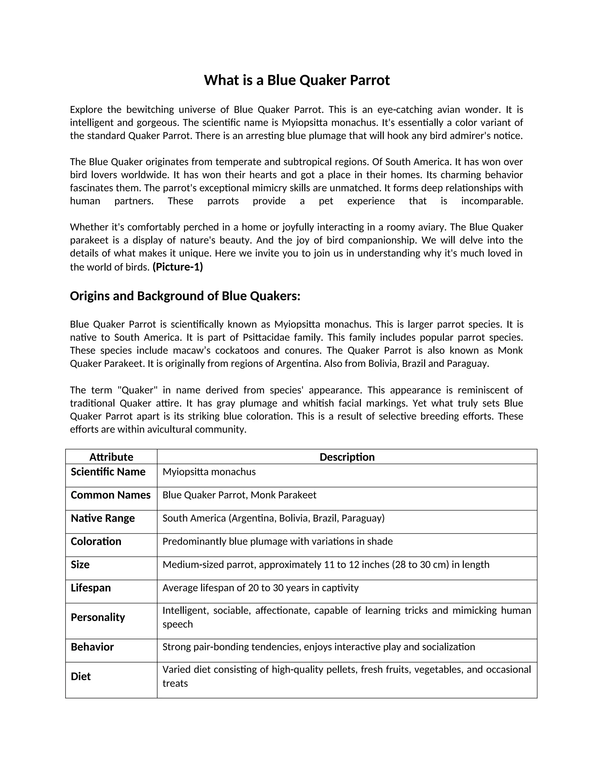 What is a blue Quaker parrot: Origins and Background | DOCX | Birds | Pets