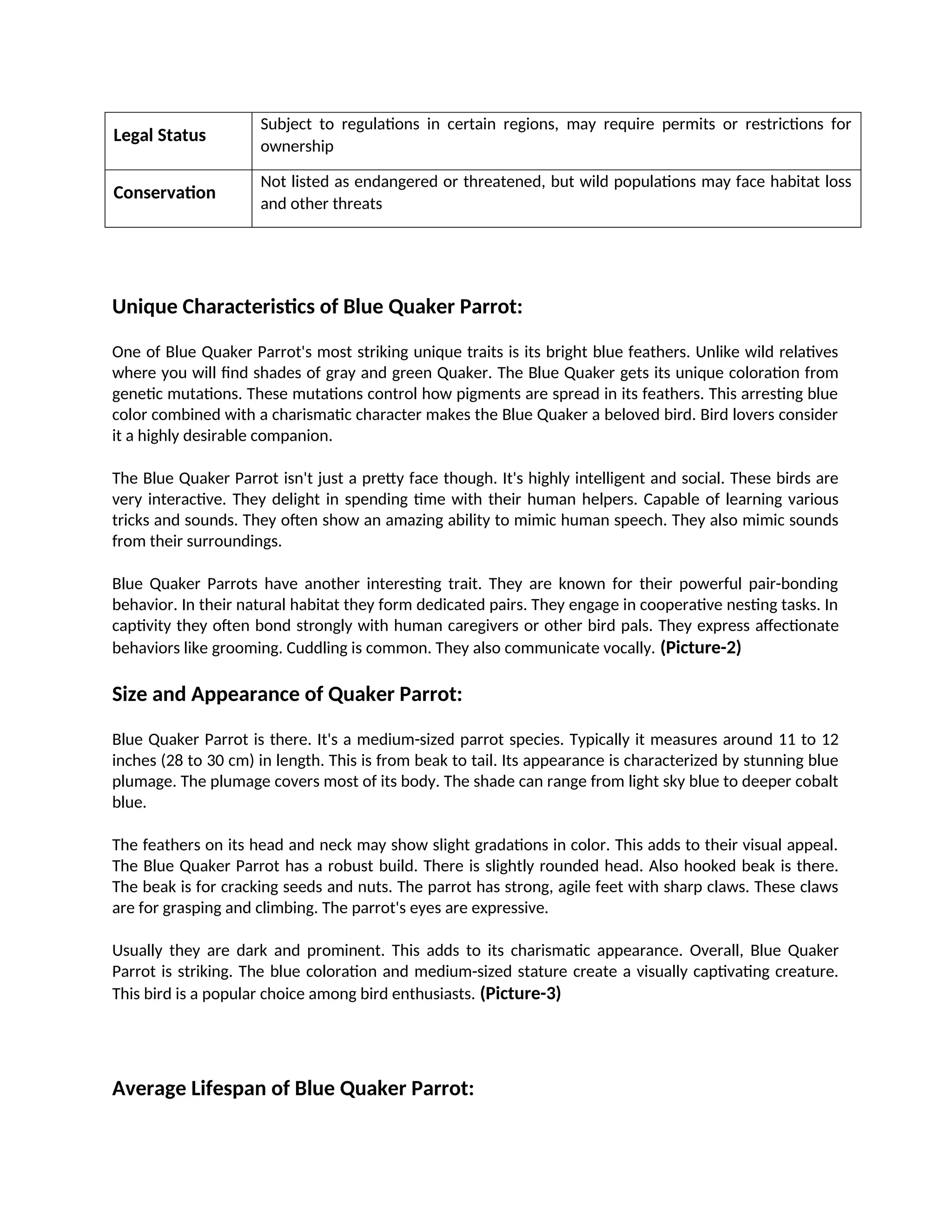 What is a blue Quaker parrot: Origins and Background | DOCX