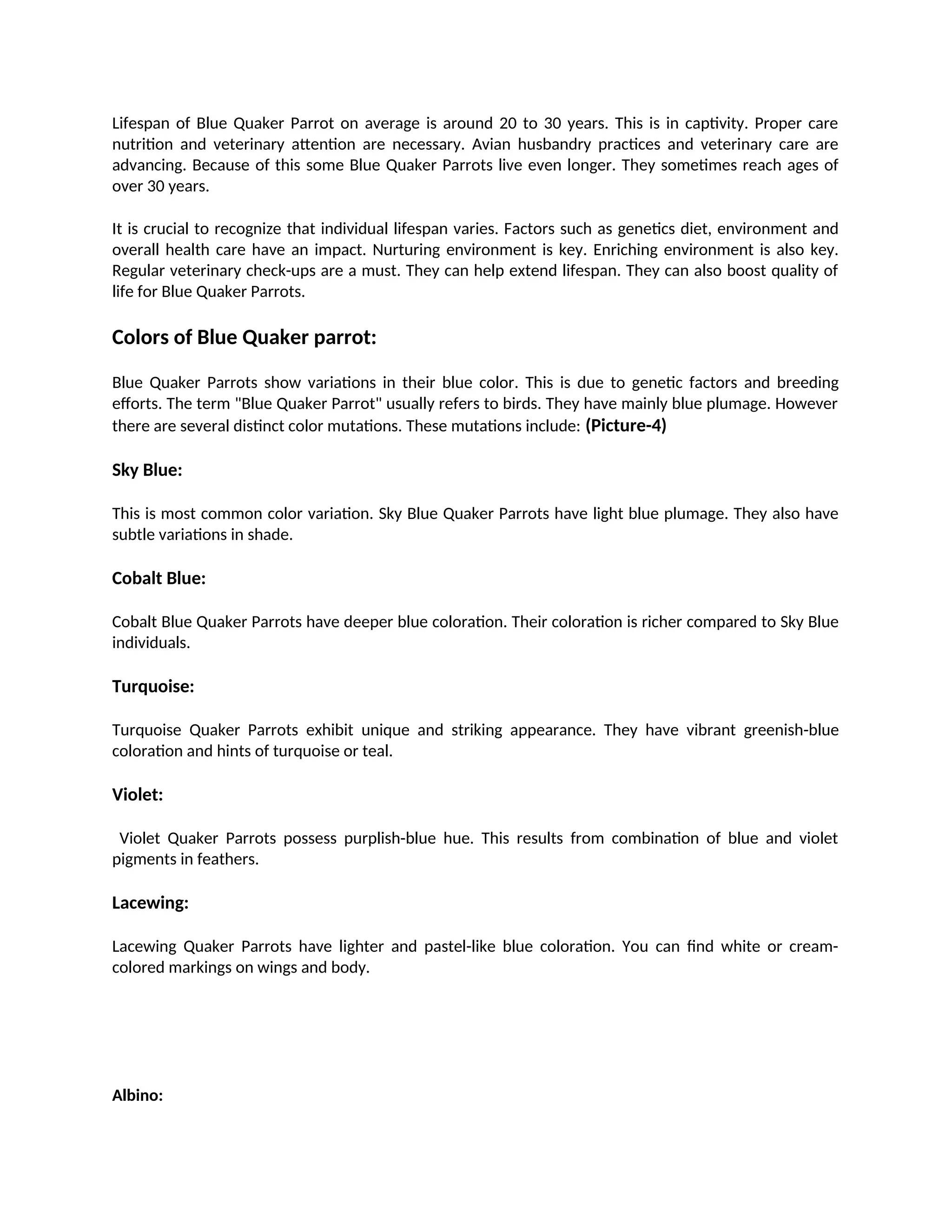 What is a blue Quaker parrot: Origins and Background | DOCX