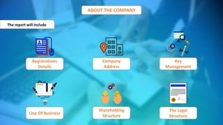 What is a business information report | PPTX