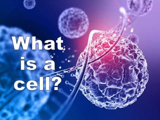 What is a Cell? | PPT