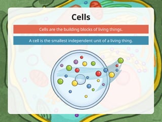 What Is a Cell dalam kehidupannya serta aplikasinya.pptx