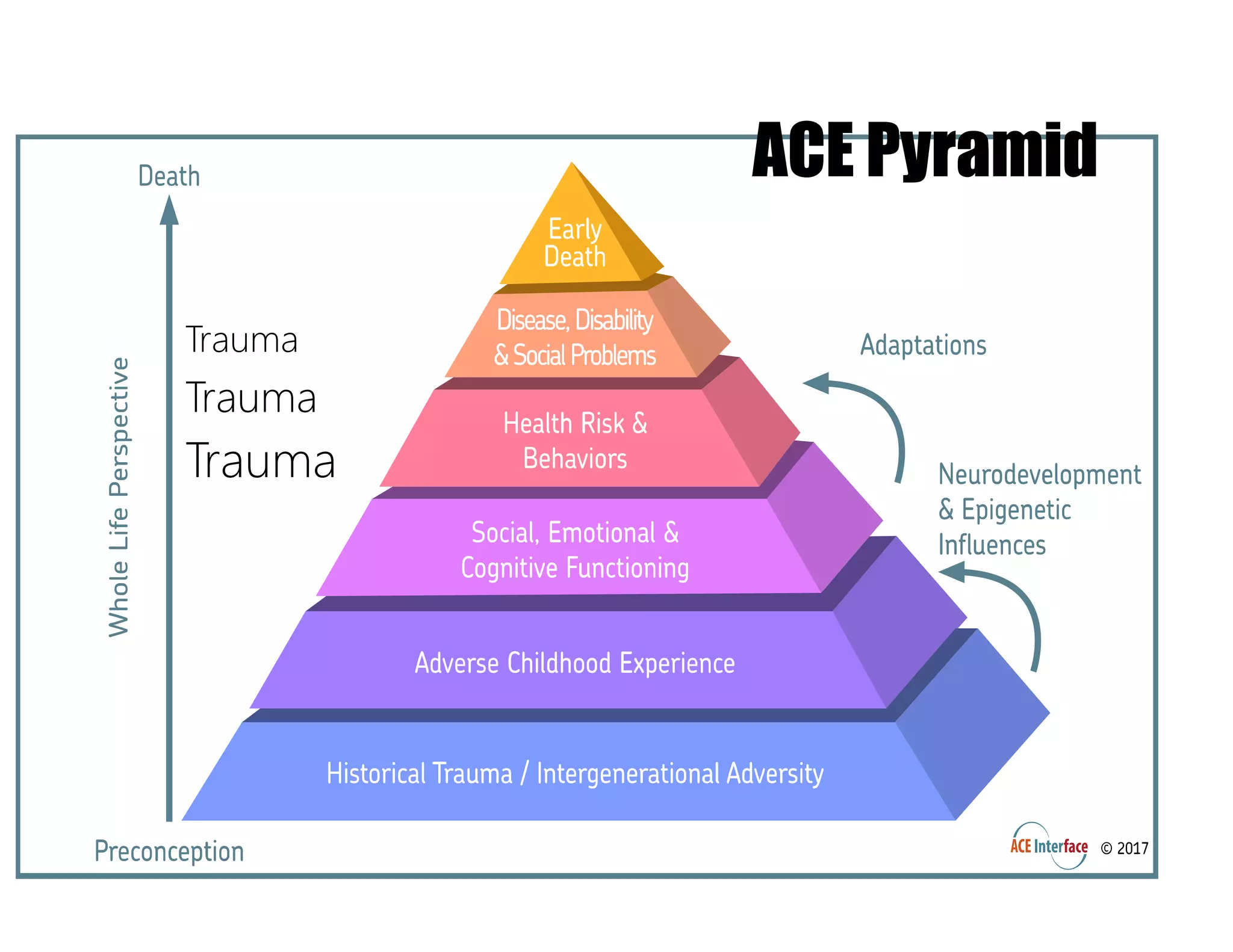 What is ACEs and Why is it Important? | PDF