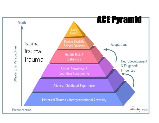 What is ACEs and Why is it Important?
