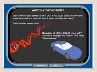 What is a chromosome anyway | PPTX