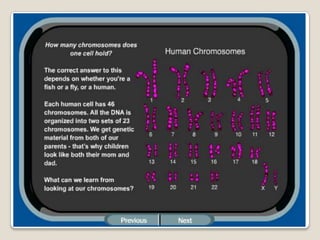 What is a chromosome anyway | PPTX