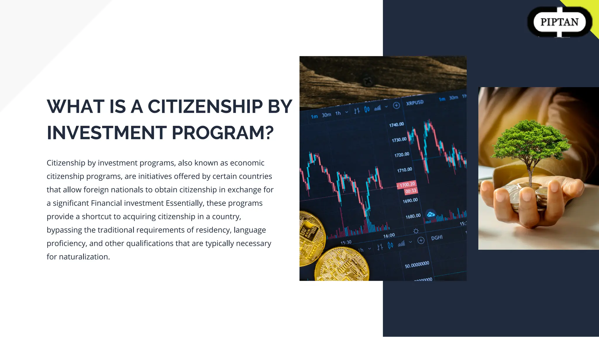 What is a Citizenship by Investment Program A Complete Guide to CBI ...