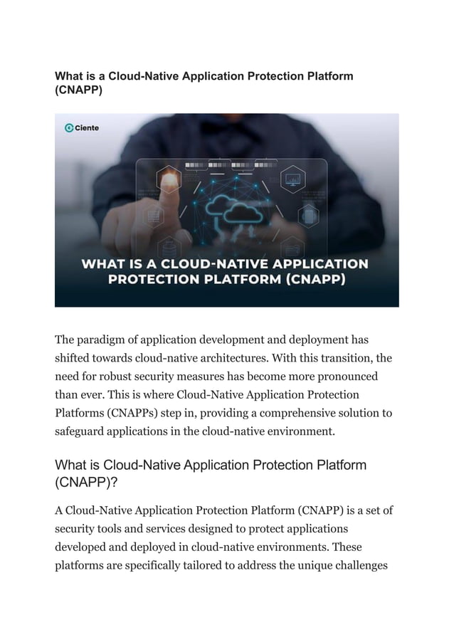 What is a Cloud-Native Application Protection Platform (CNAPP | PDF