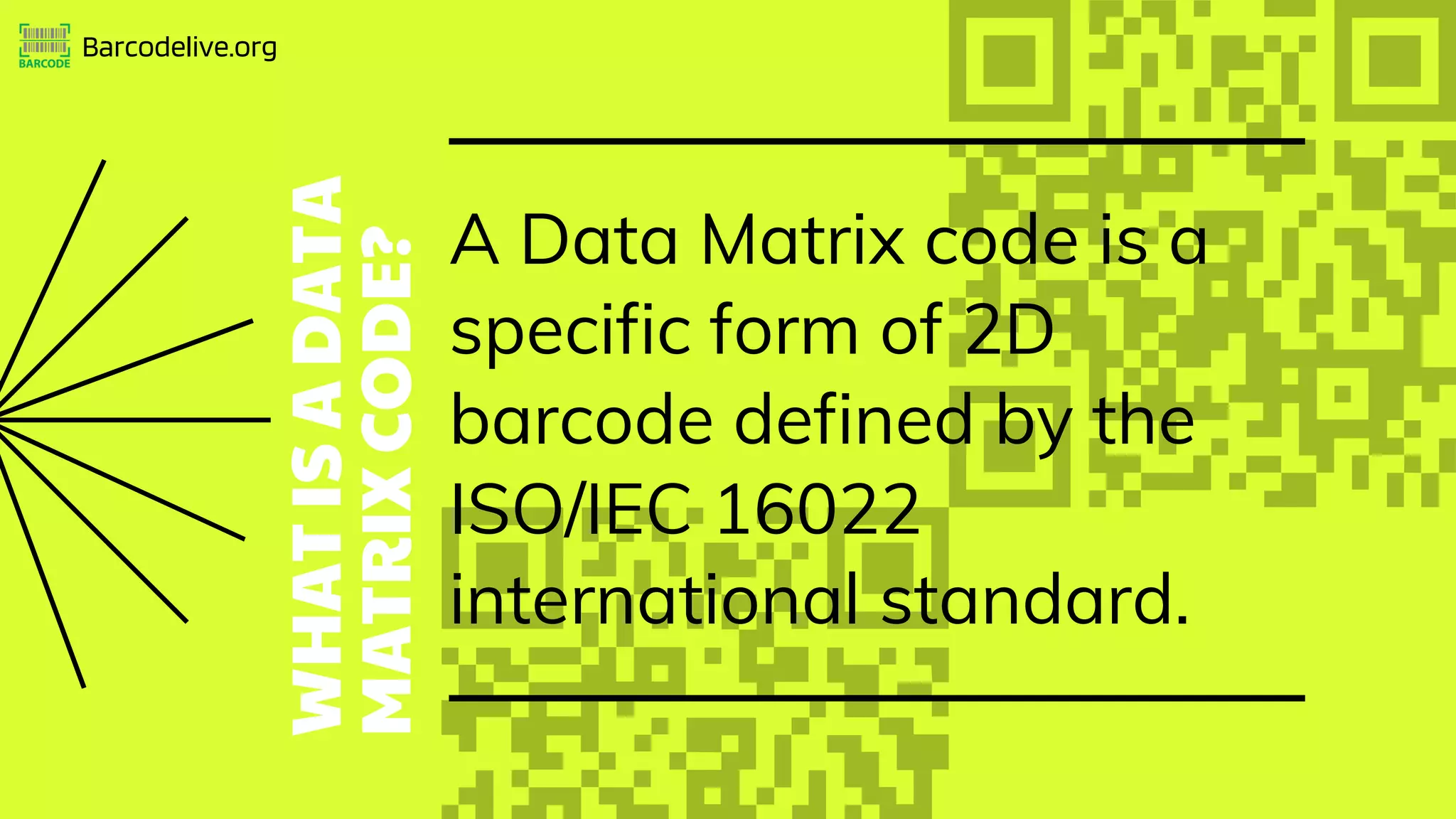 WHAT IS A DATA MATRIX CODE? | PDF | Technology & Computing