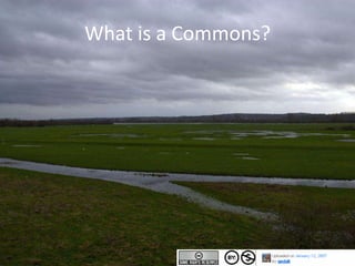 What is a commons? For Museum Commons: A Professional Interaction ...