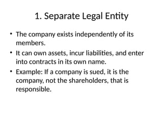 What_is_a_Company_Detailed_Presentation.pptx