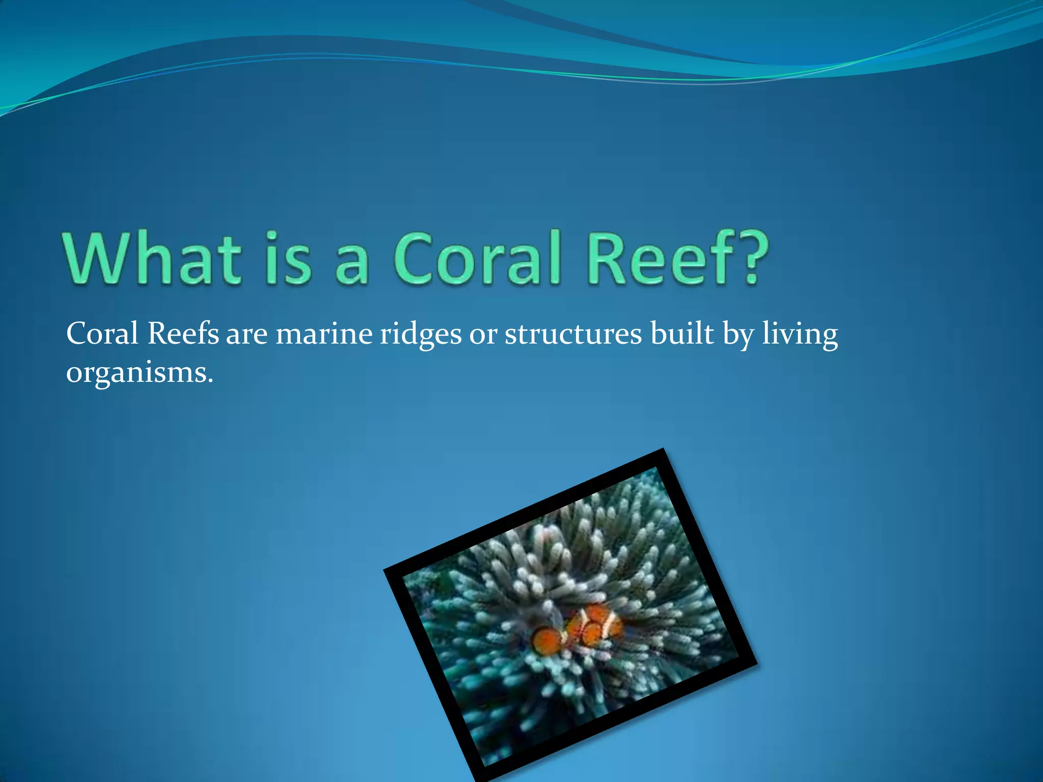 What is a coral reef By Emma and Sienna | PPT
