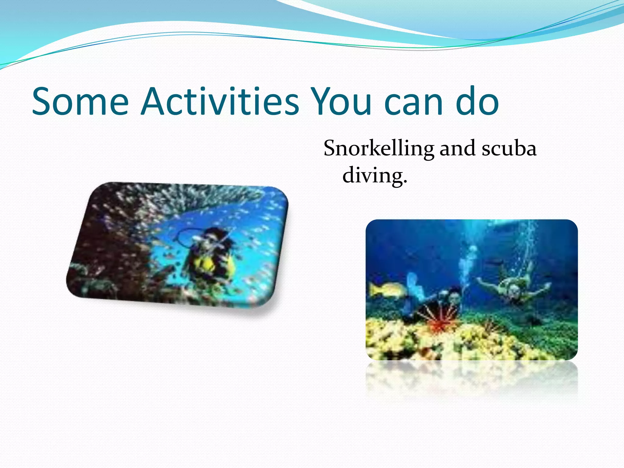 What is a coral reef By Emma and Sienna | PPT