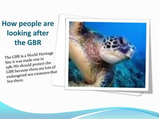 What is a coral reef By Emma and Sienna | PPT