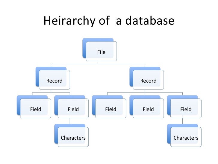 What is a database?